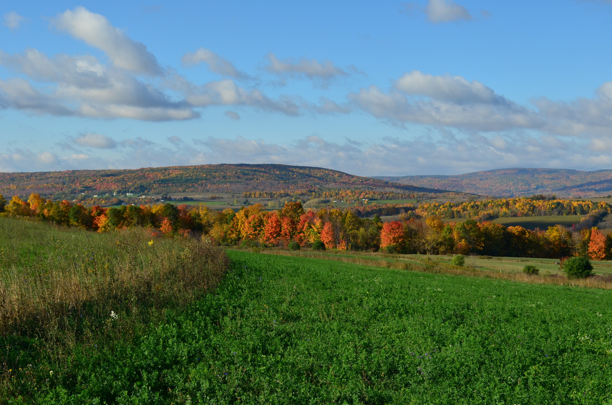 11 Things To Do In Upstate New York On Your Next Trip 11 Things To Do In Upstate New York On Your Next Trip